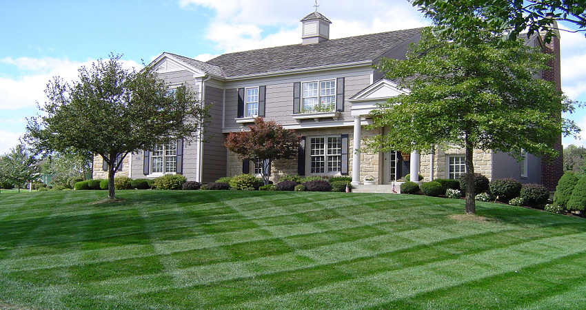 True Turf Lawn