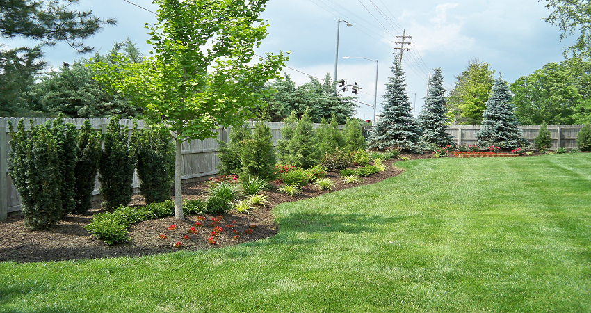 True Turf Lawn